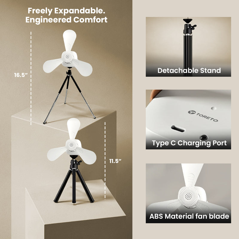 Steady Air – Toreto